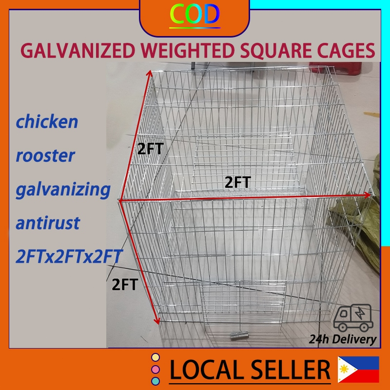 Galvanized weighted square cage/chicken/rooster/antirust/2FTx2FTx2FT ...