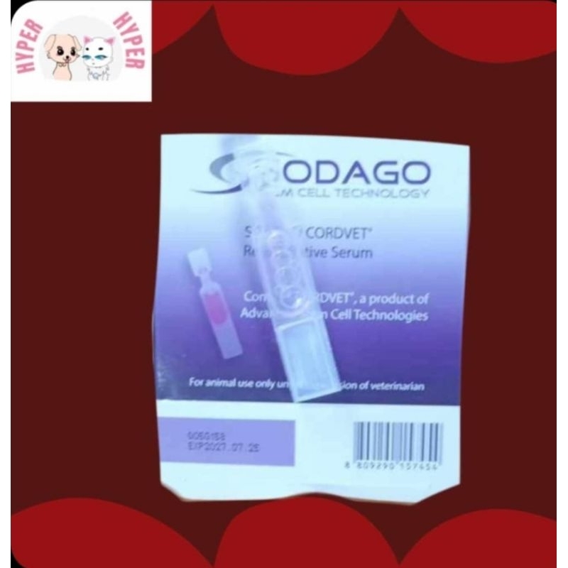 SODAGO STEM CELL(sodago cordvet) for DOGS/CATS 1ML(1PIECE ONLY ...