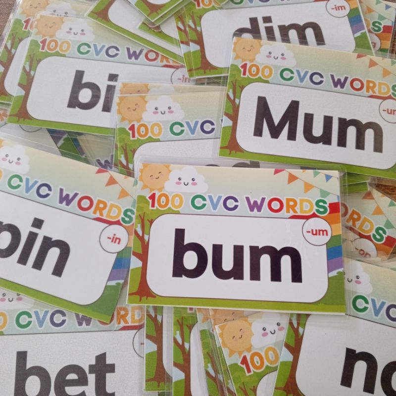 100 CVC Words Flashcards for Kids – Phonics Learning, Laminated & Back ...