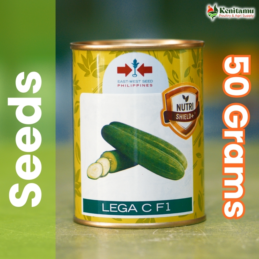 CUCUMBER LEGA C F1 50g BY: EASTWEST SEED | Shopee Philippines