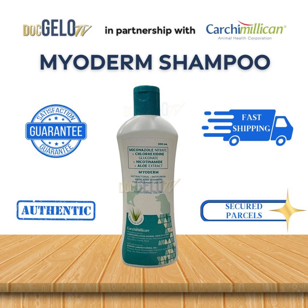 MYODERM SHAMPOO MICONAZOLE + CHLORHEXIDINE ANTIFUNGAL FOR PETS | Shopee ...