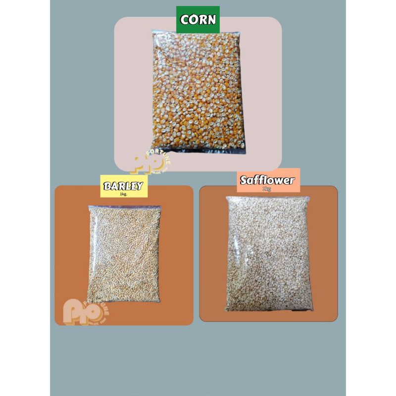 Safflower Seeds, Barley, and Corn (Per Kilo) | Shopee Philippines