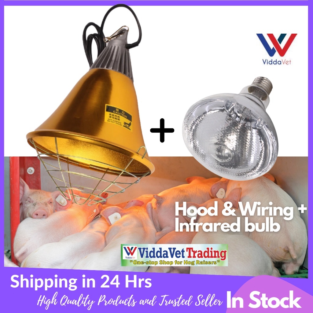 1 Set Golden color heat lamp shade + infrared heat bulb brooder lamp ...