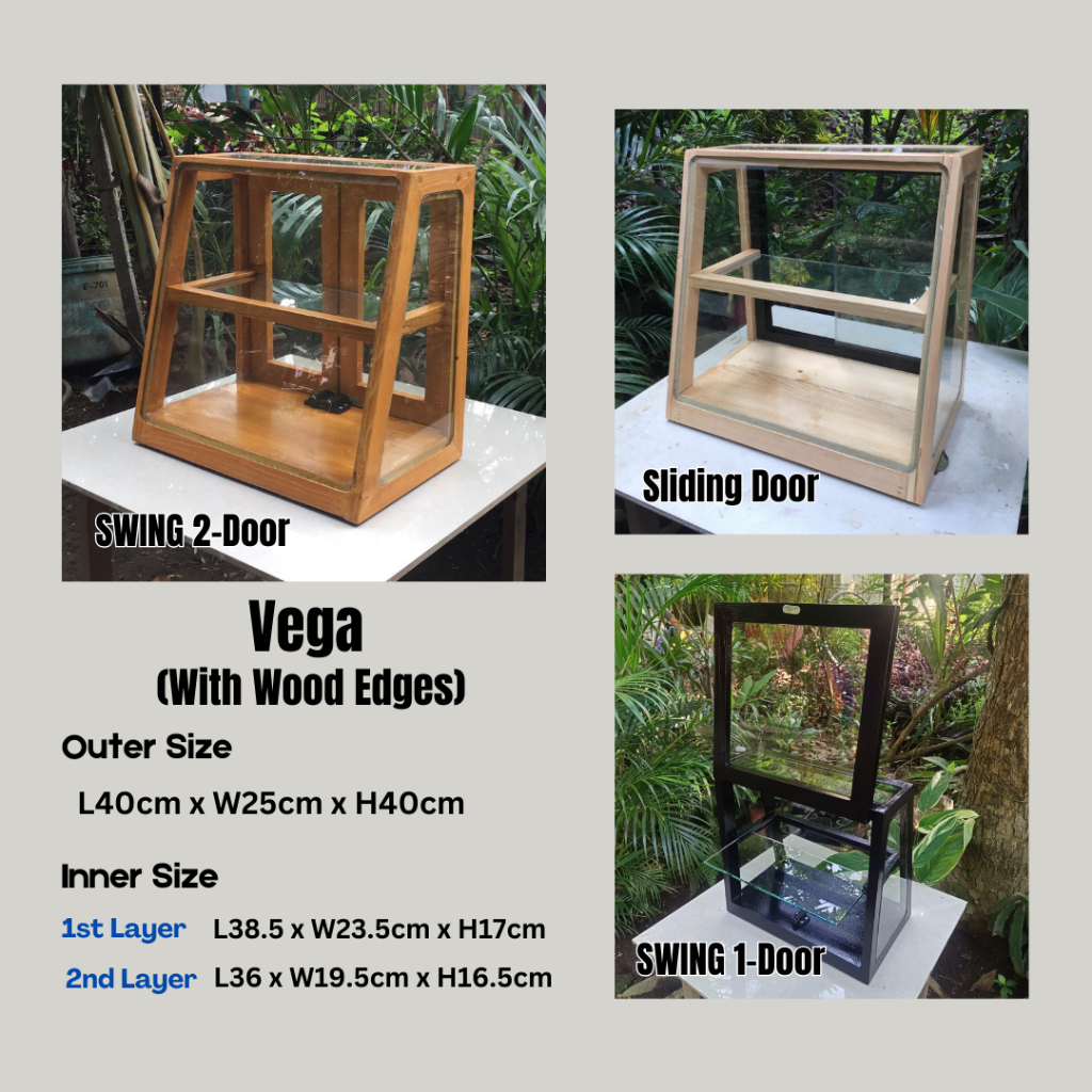 Vega: 2 Layer Slanted or Boxed type Pastry Bread Food Display Case with ...