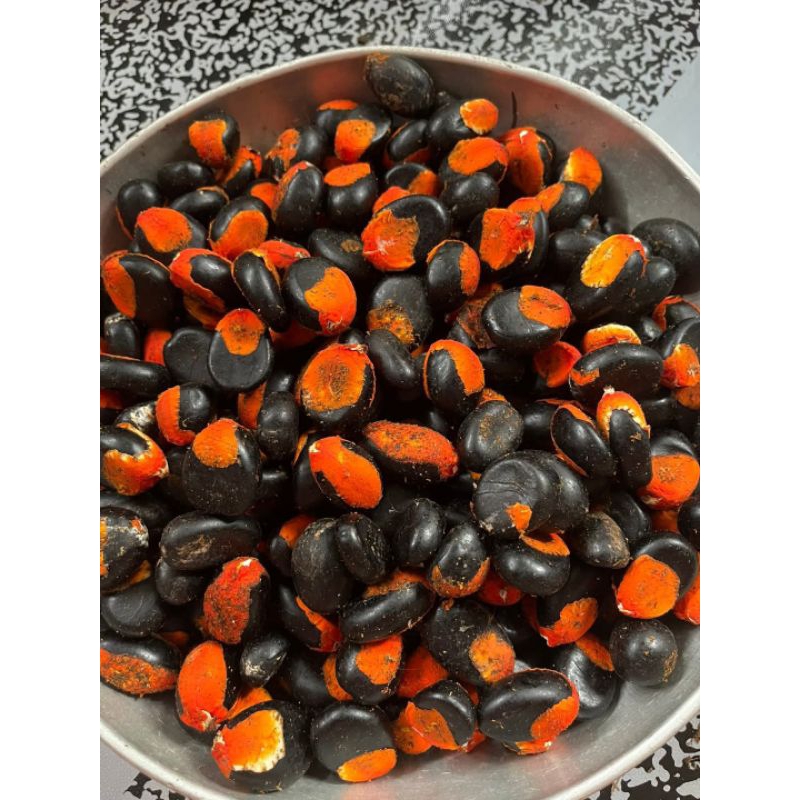 Tindalo seeds ( 25 seeds ) | Shopee Philippines