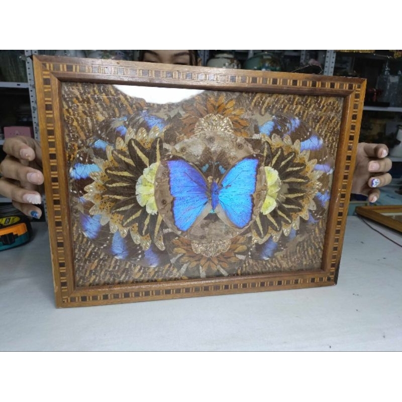 Butterfly in frame.. | Shopee Philippines