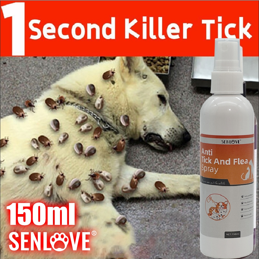 Anti Tick and Flea Spray For Dog Lice Killer Garapata Remover For Dog ...