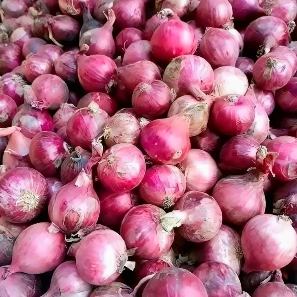 Sibuyas 1kg Onion 1kg | Shopee Philippines