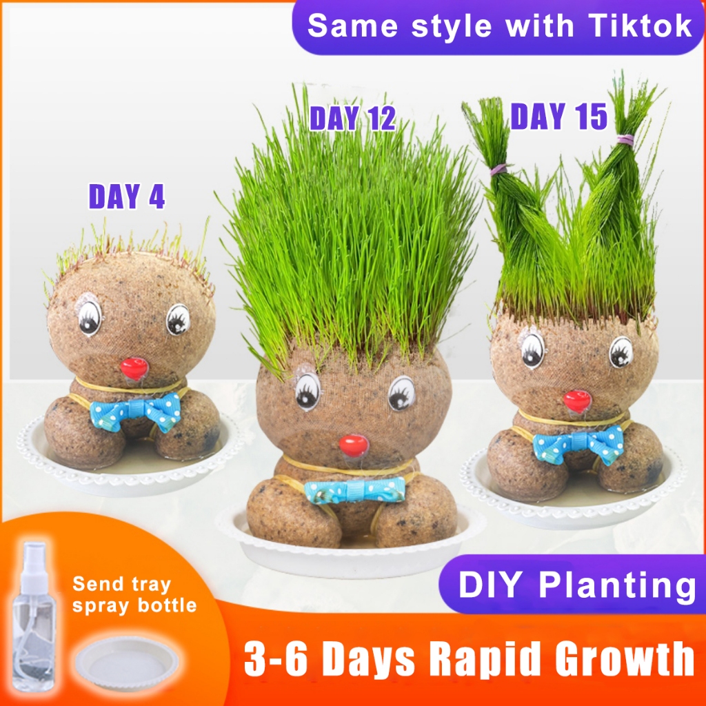 grass Head doll Room Decor Children Growing Grass Doll Toys Indoor ...