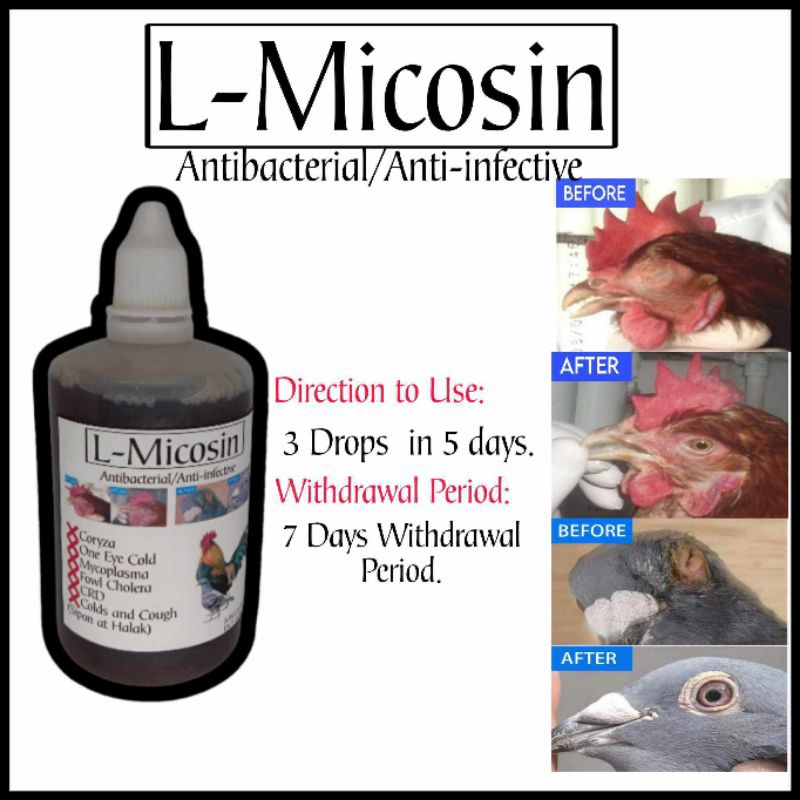 L-Micosin Oral Antibacterial/Anti-Infective For Pigeon&Gamefowl ...