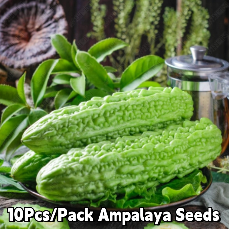 10Pcs/Pack Ampalaya Seeds-Long Green Ampalaya Vegetable Seeds | Shopee ...