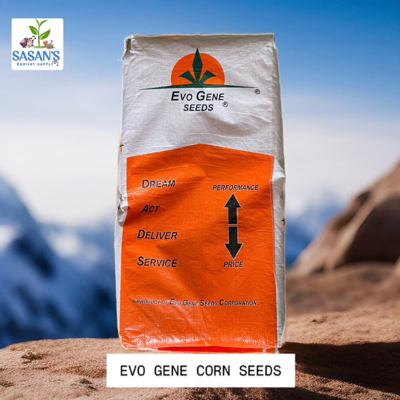 EVO GEEN CORN SEEDS 9307 or 9815 10kls | Shopee Philippines