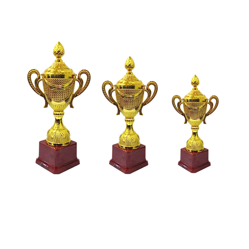 Aktive Trophy for Awards Bundle of 3 ( 25cm , 27cm , 31cm ) | Shopee ...
