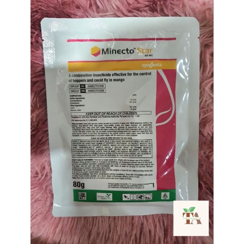 Minecto Star 60WG ~ 1 sachet (80grams) | Shopee Philippines