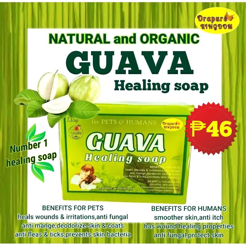 Guava soap Natural and Organic 135G | Shopee Philippines