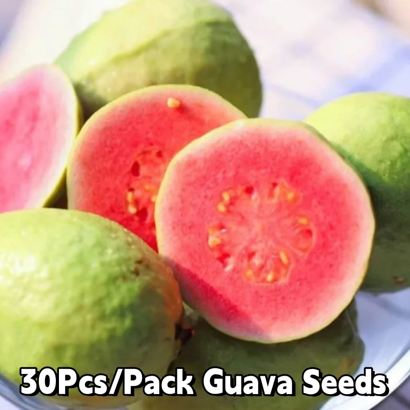 (30Pcs/Pack)Guava Seeds-Bonsai Guava Fruit Seeds for Planting | Shopee ...