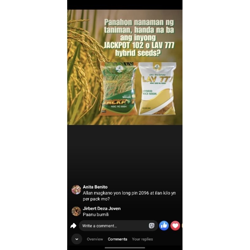 JACKPOT 102 Hybrid Rice Seeds 3kls by Leads Agri | Shopee Philippines