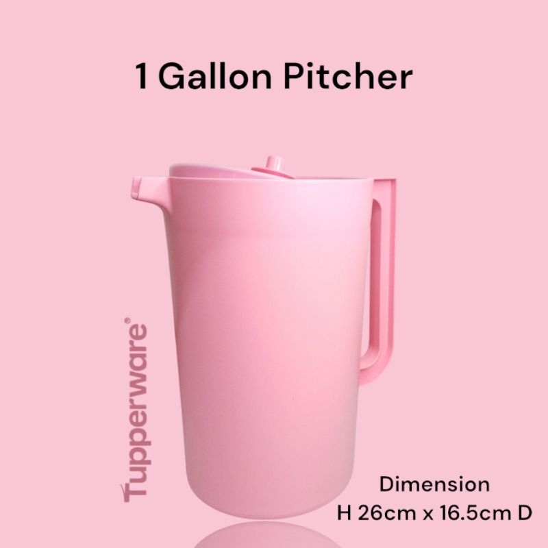 Tupperware 1 Gallon Pitcher | Shopee Philippines