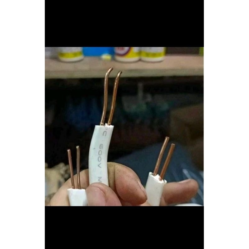 (PER METER)Heavy duty PDX 14/2c , 12/2c , 10/2c Solid Wire | Shopee ...