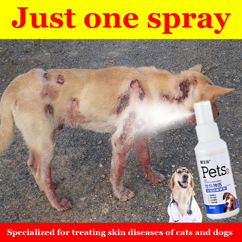 dog spray for skin disease pet skin treatment spray dog skin treatment ...