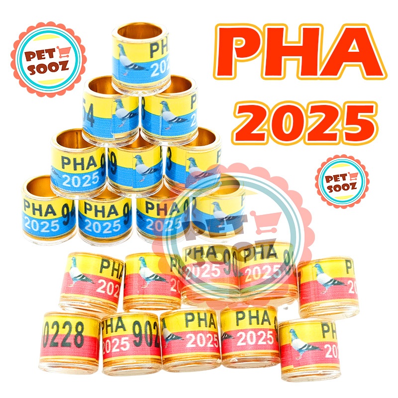 2025 PHA Pigeon ring Colored interior Oval Pigeon ring 2025 singsing ng ...