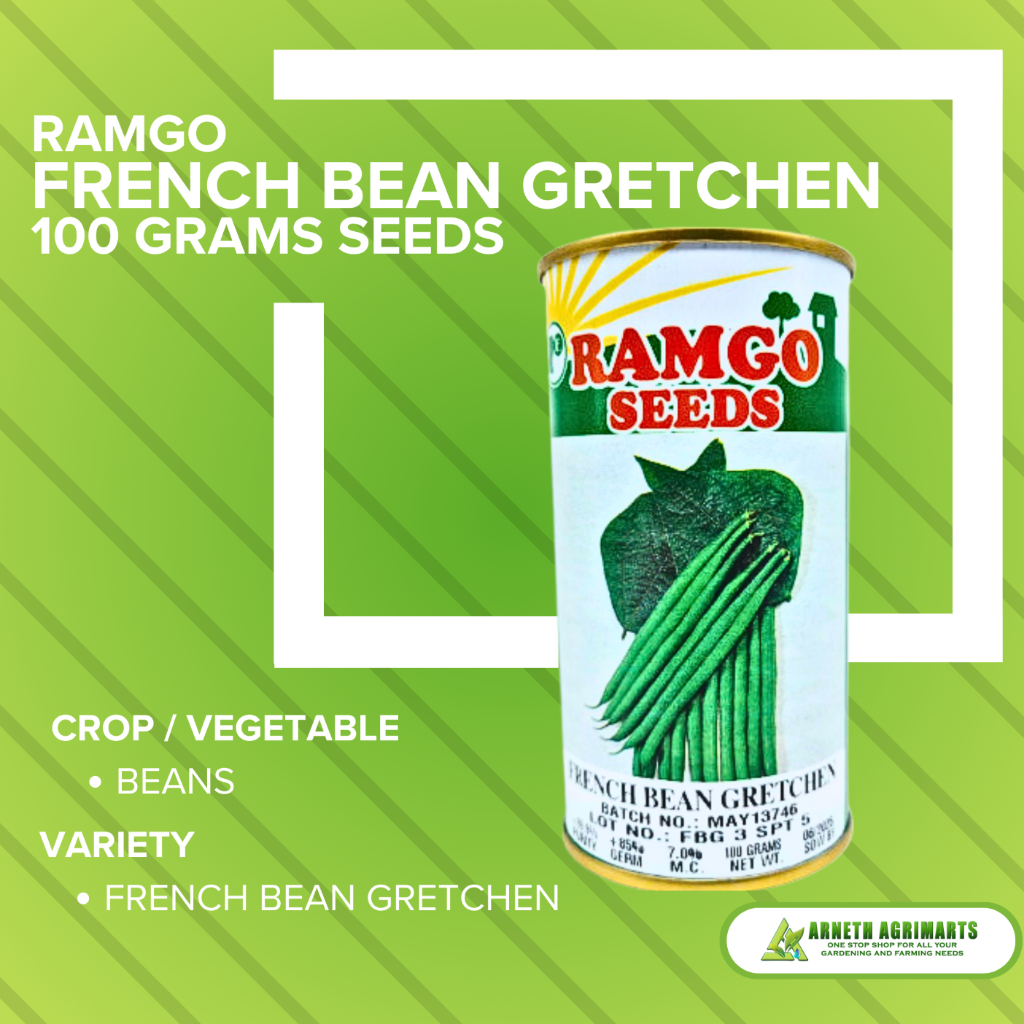 ARNETH RAMGO GRETCHEN FRENCH BEAN SEEDS FOR PLANTING ( 100 GRAMS CAN ...
