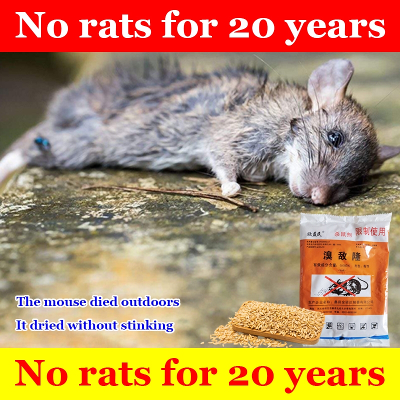 Rat Killer Poison Lason Sa Daga 500g Rat Poison Killer Food Rat Killer ...