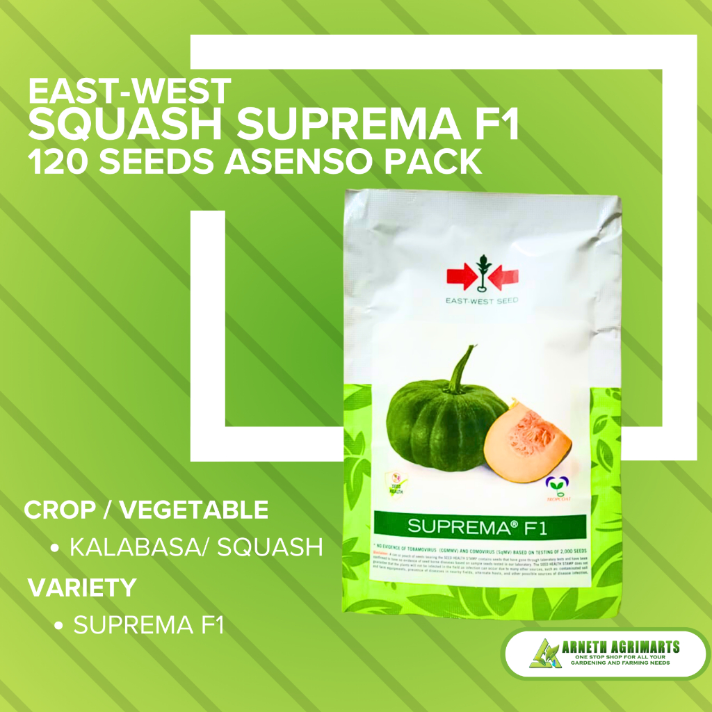 ARNETH SQUASH SUPREMA F1 ASENSO PACK BY EAST WEST SEEDS | Shopee ...