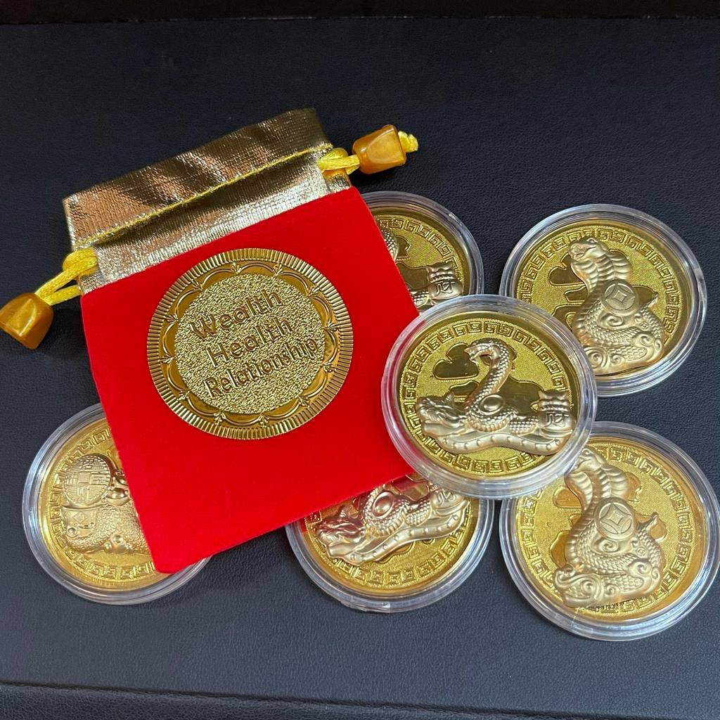 2025 Snskr Year Lucky Coin Lucky Dollar Money Gold Coin Gift Bag Set ...
