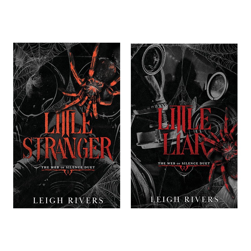 Little Stranger Little Liar by Leigh Rivers (Paperback) English Books ...