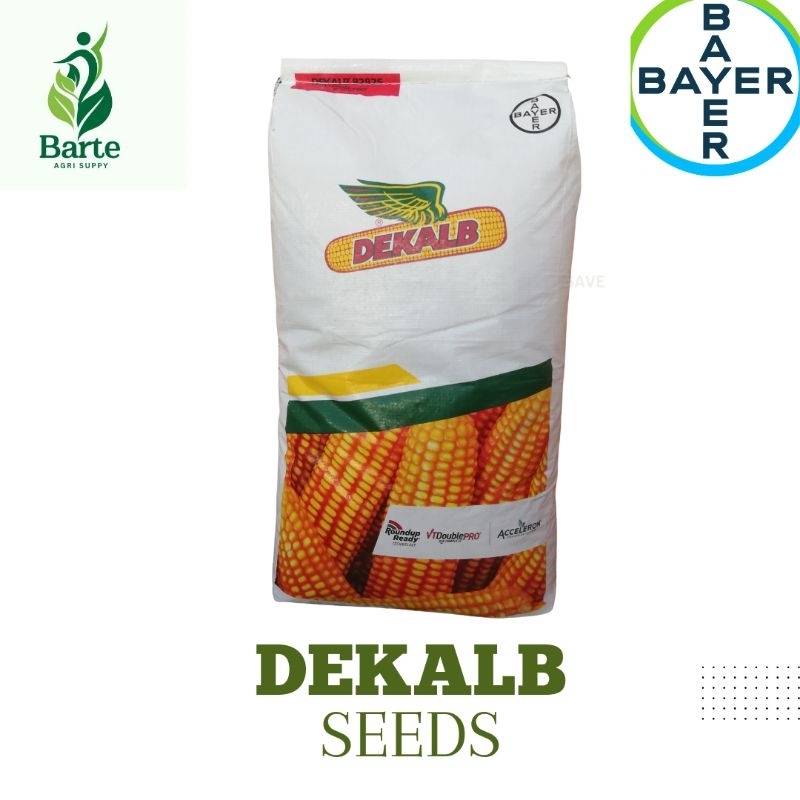 DEKALB 8282S hybrid corn seeds/bayer (11kilo) | Shopee Philippines