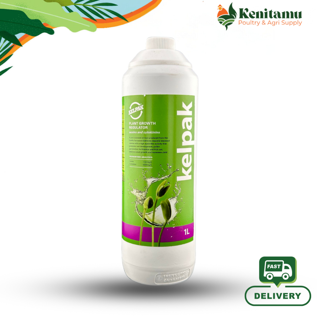 Kelpak Plant Growth Regulator 1L | Organic Seaweed-Based Formula with Silicon & Zinc | Shopee ...