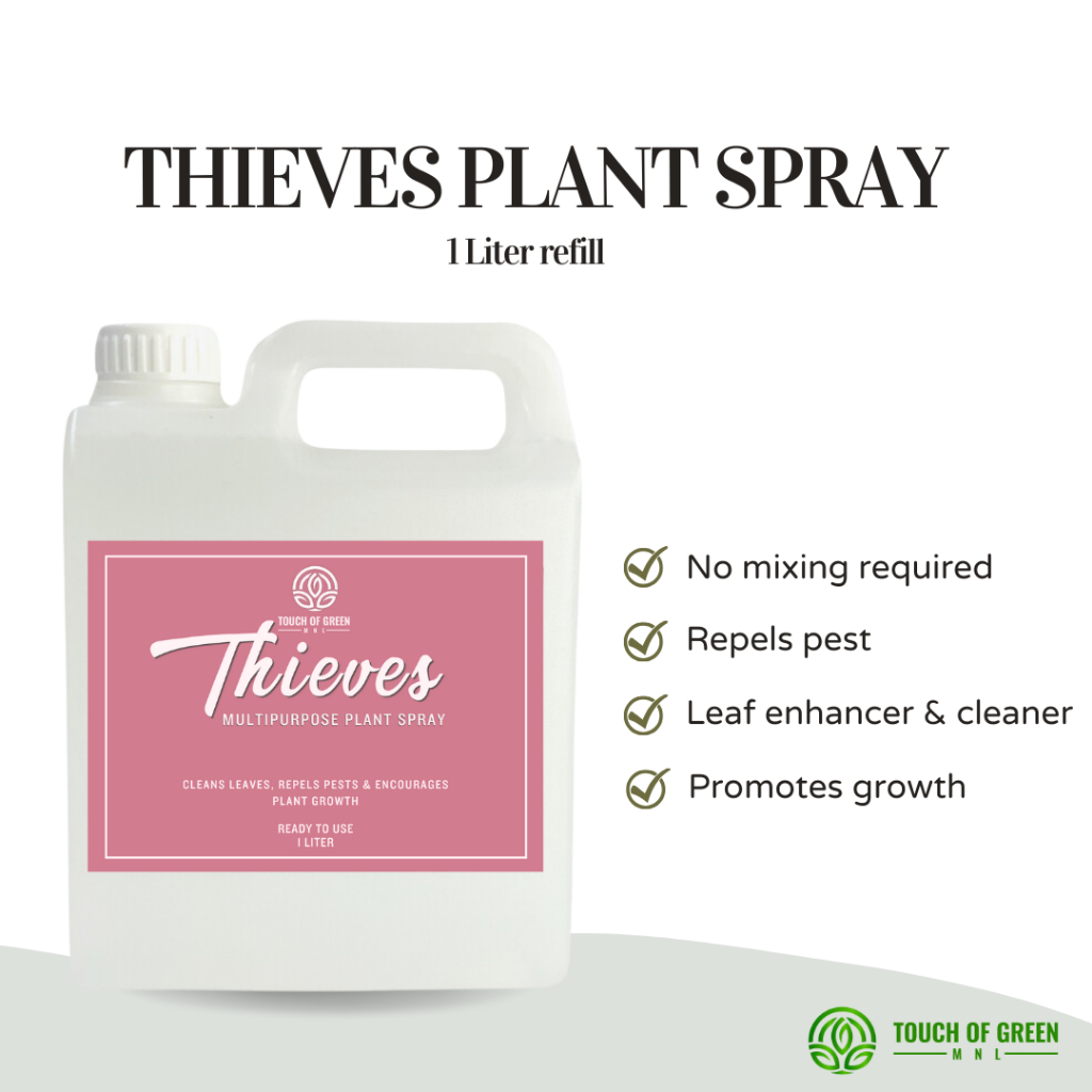 1 LITER THIEVES PLANT SPRAY | READY TO USE | Leaf Cleaner, Leaf Shiner ...