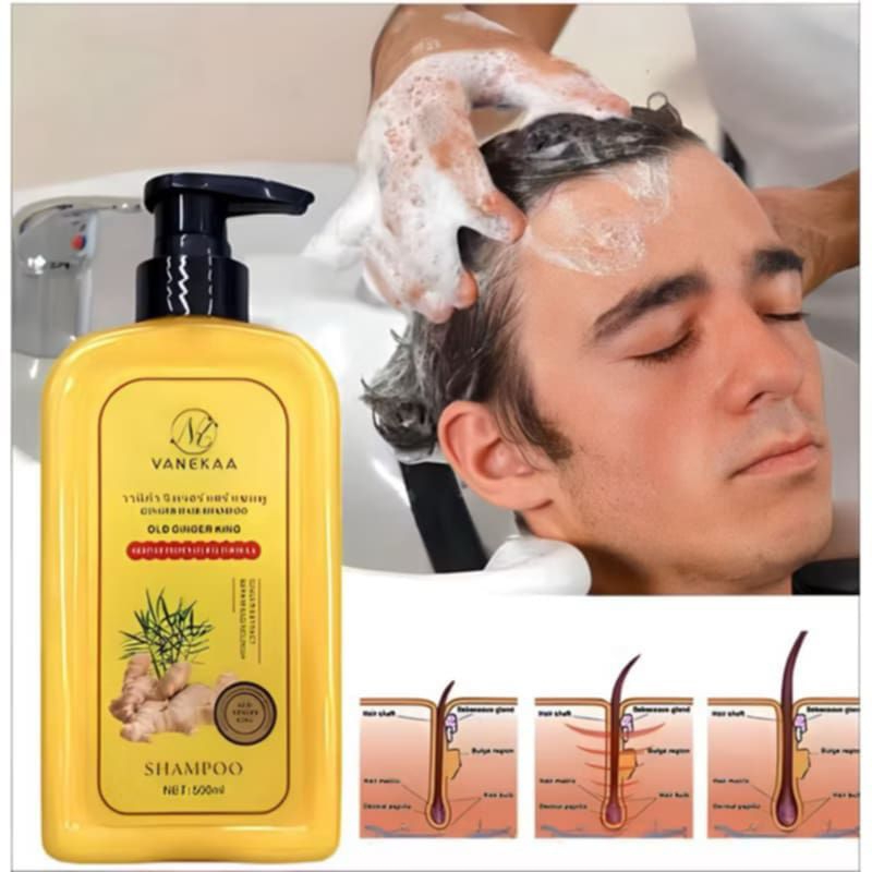 BKK Vaneeka Ginger Hair Shampoo | Shopee Philippines