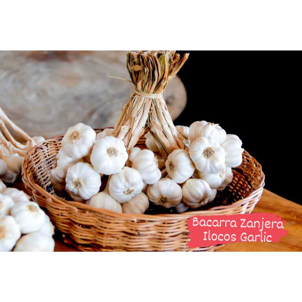 Ilocos Garlic Native 1KILO | Shopee Philippines