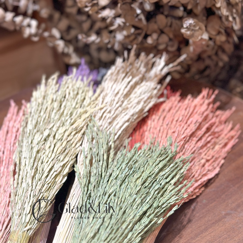 Dried Local Palay | Rice Flower | Shopee Philippines