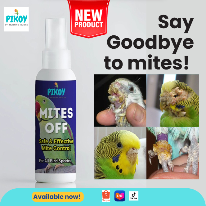 PIKOY Mites Off for Scaly Face and Leg Mites in Birds, Parrots, Iwas ...