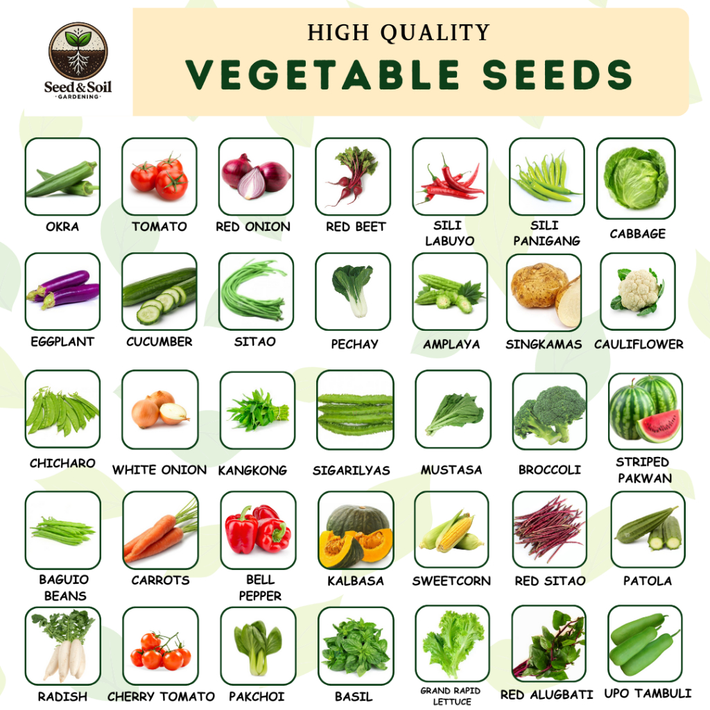 VEGETABLE SEEDS (ONION, KAMATIS, OKRA, SITAW, SILI, UPO, TALONG ...