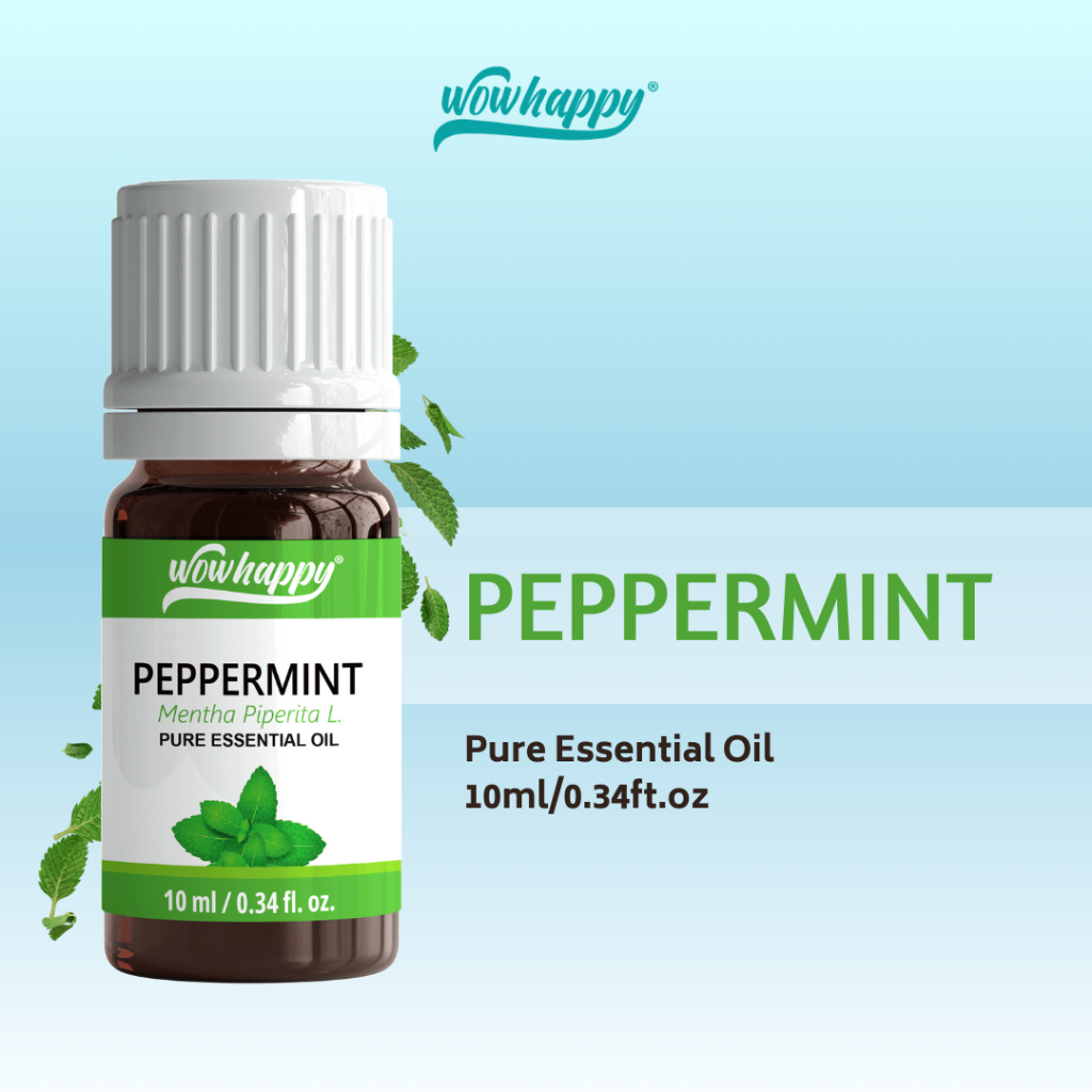 Wowhappy Peppermint Essential Oil 10ML | Shopee Philippines