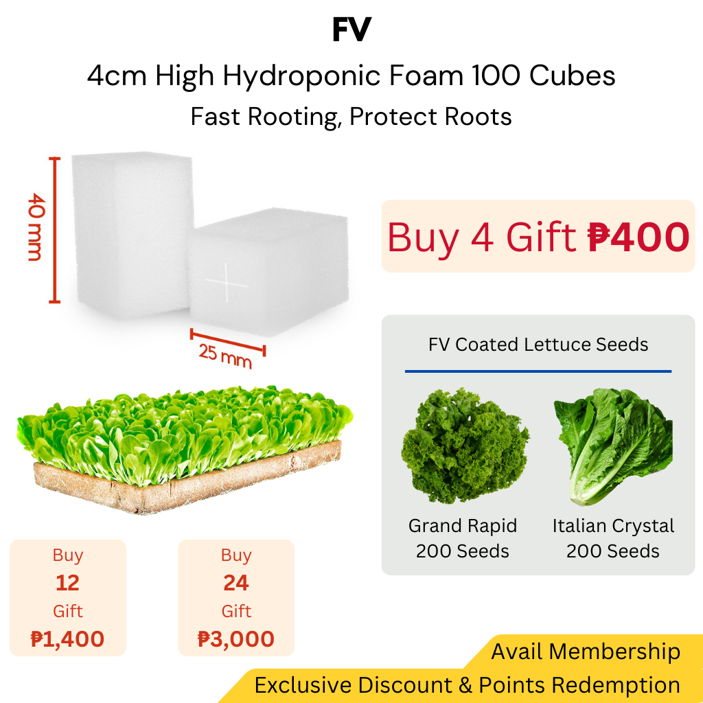 FV 4cm High Hydroponic Foam 100 Cube | hydroponic sponge foam for ...
