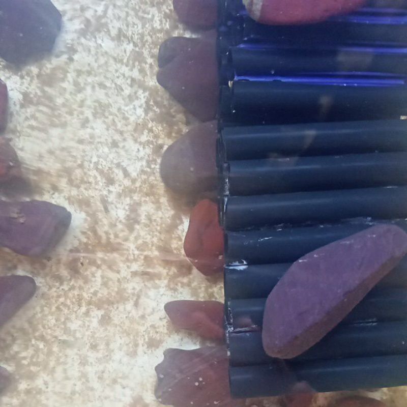 Crayfish hides for craylings | Shopee Philippines