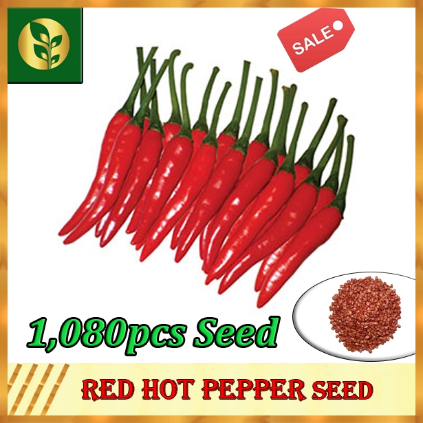 Red Hot Pepper Seeds | Siliing Red | Chili Seeds | Sili Seeds ...