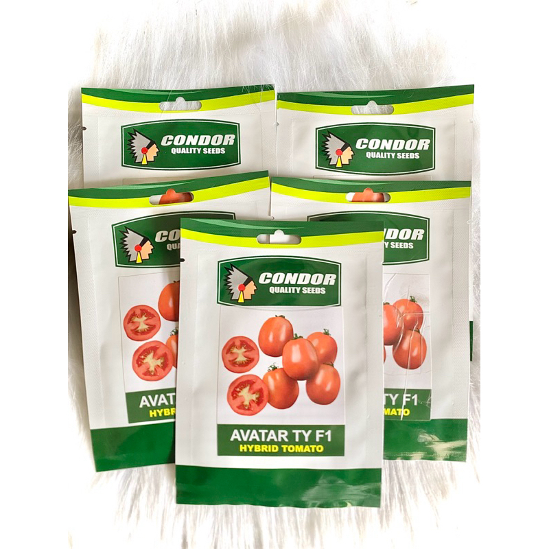 TOMATO AVATAR TY F1 HYBRID TOMATO 0.3grams CONDOR SEEDS | Shopee ...