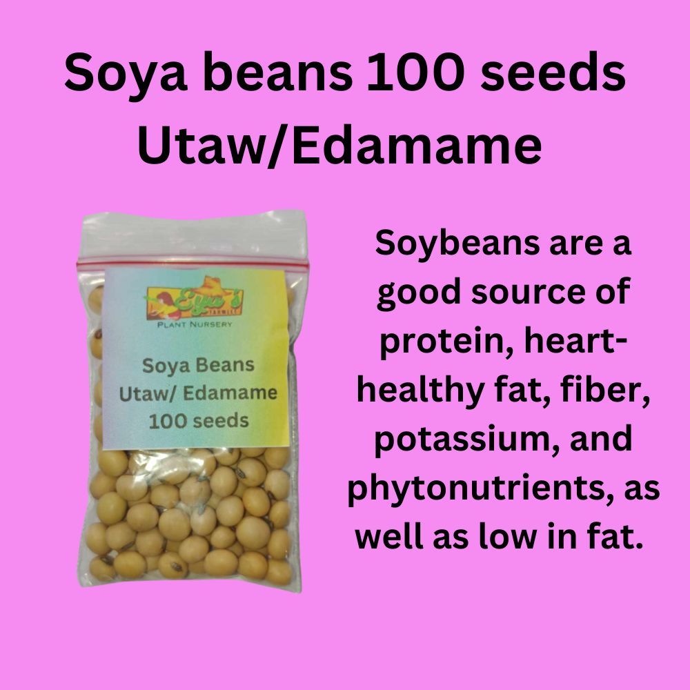 Soya beans 100 seeds Utaw Edamame Vegetable seeds | Shopee Philippines