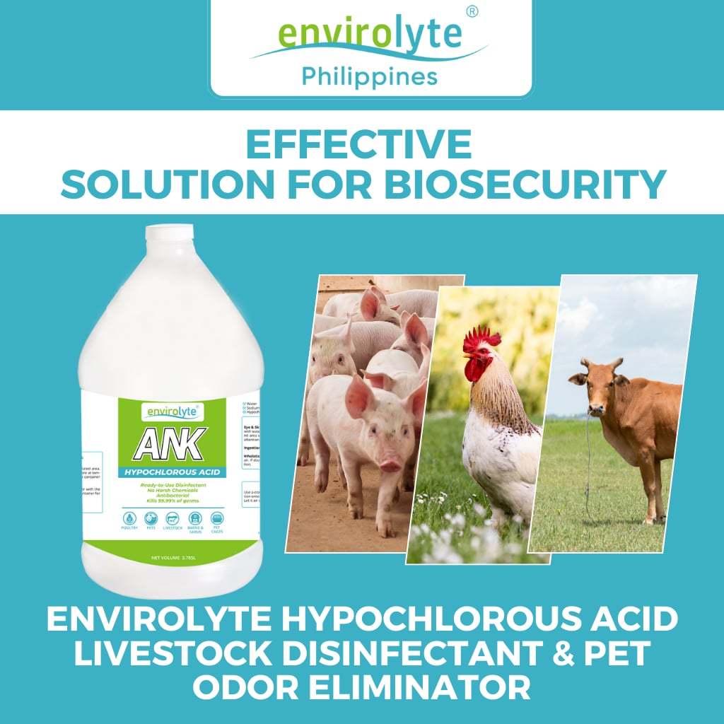 Effective Solution for Biosecurity, Odor Eliminator and Piggery ...
