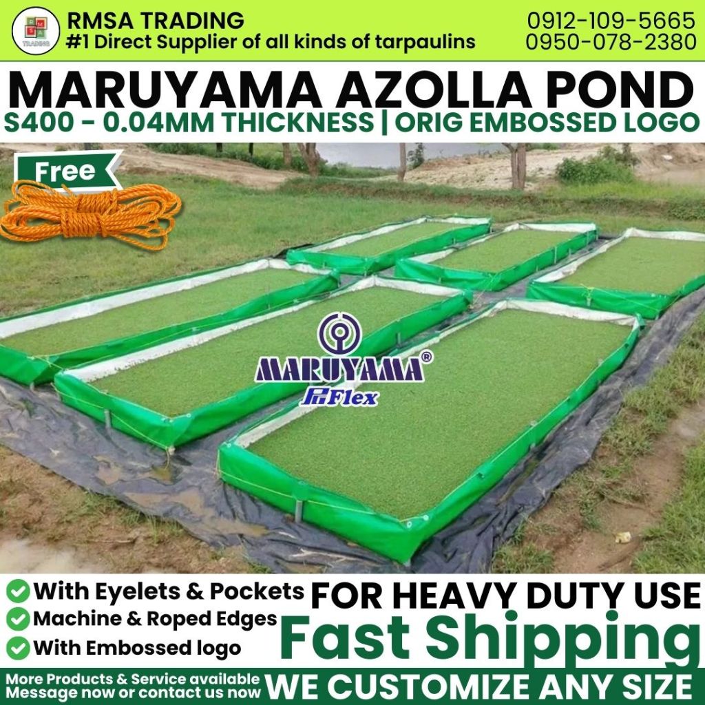 RMSA | SALE! 4x2x1ft S400 ORIGINAL MARUYAMA | HEAVY DUTY AZOLLA POND ...