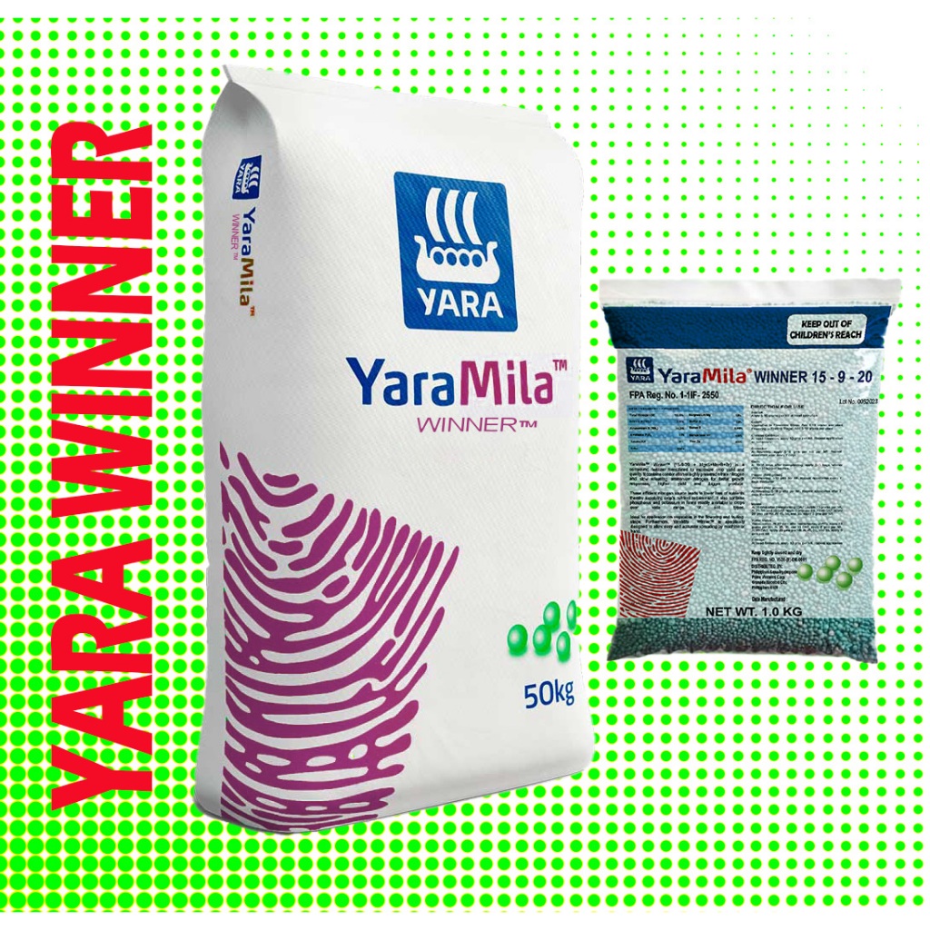 YaraMila Winner (15-9-20 +2MgO +4S +TE) | Shopee Philippines