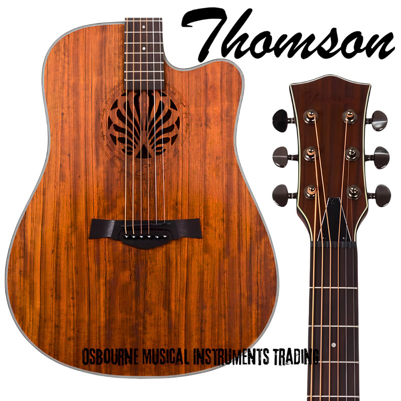 Thomson Custom 41-Inch Acoustic Guitar | Shopee Philippines