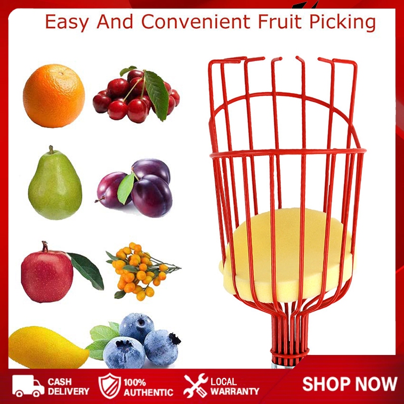 Fruit Picker Adjustable Basket Harvest Fruit Collector Catcher Apple ...