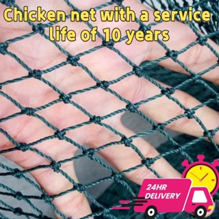 【Free rope】200M 100M 50M Chicken Net Fence Green Net Free Range Chicken ...